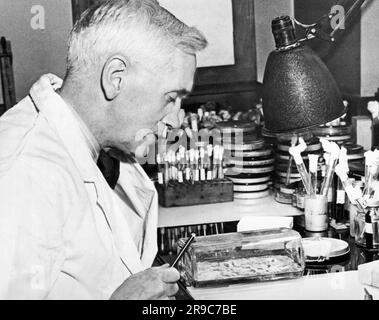 Discovery of the Penicillin by Fleming in 1928 on postage stamp Stock ...