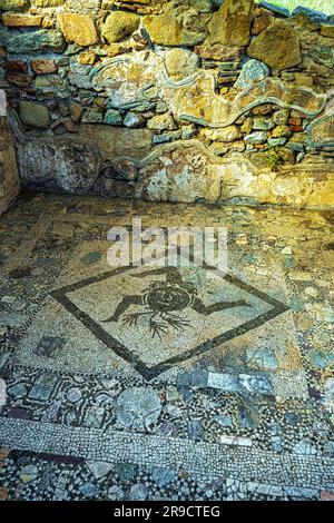 Mosaics of the baths, depicting the triskelion symbol of Sicily, from ...