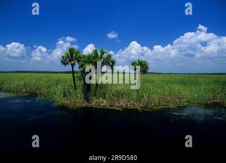 A Waterway and marsh grasses in Everglades National Park, Florida Stock ...