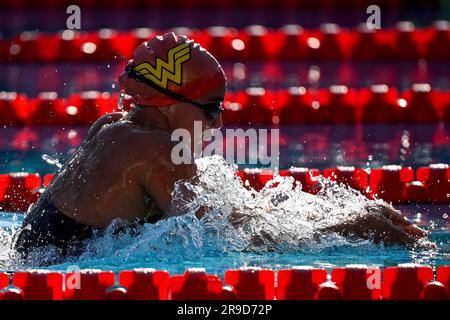 Nika Godun of Russia during the 59th Settecolli swimming meeting at ...