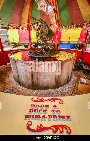 pluck a duck from the muck Stock Photo - Alamy