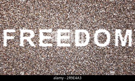 Freedom metaphor as a symbol of liberty and as a concept of chains ...