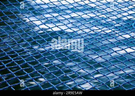 blue rope netting over water Stock Photo - Alamy