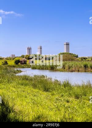 Saltholme nature reserve with the modern towers of the Quorn food ...