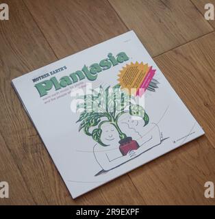 LP cover of the 2022 vinyl reissue of the Blemish album by David ...