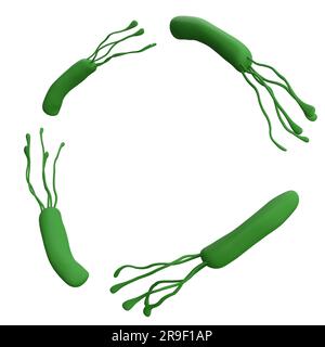 Helicobacter pylori bacteria 3d render realistic medicine icon for logo ...