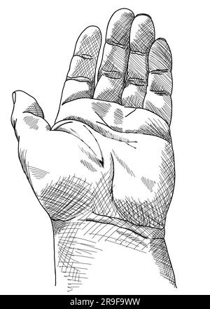Drawing hand, pencil sketch on paper, vintage effect Stock Photo - Alamy