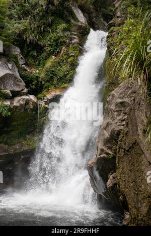 Wainui Falls Waterfalls Wainui Bay, Tasman Region, New Zealand, South ...