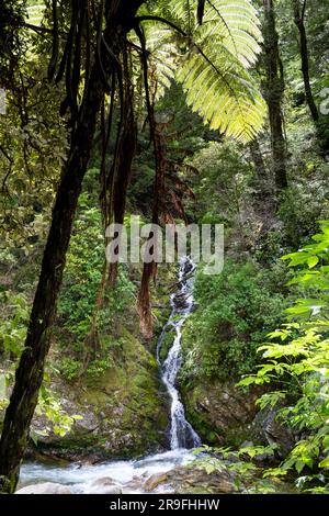 River views on Wainui Falls Waterfalls Walk from Wainui Bay, Tasman ...