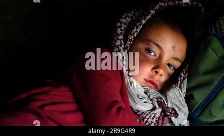 WARHORSE ONE, Athena Durner, 2023. © Well Go USA Entertainment ...