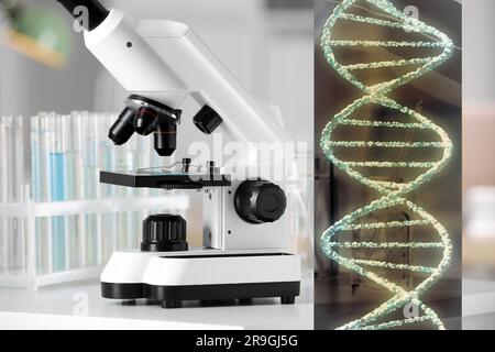Genetic testing. Microscope and illustration of DNA structure in ...