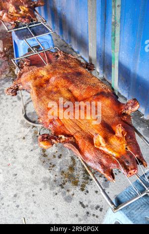 Freshly baked crispy suckling pork, a whole pig with crispy skin Stock ...