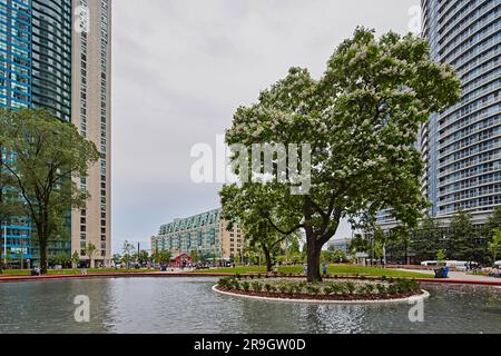 Love Park, Toronto Ontario Stock Photo - Alamy