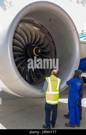 An engine fan blades on the first test Boeing 787 Dreamliner aircraft ...
