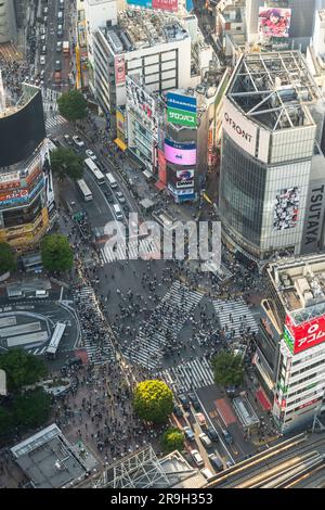 2023 Shibuya Crossing scramble Tokyo city, worlds busiest crossing, famous Shibuya landmark ...