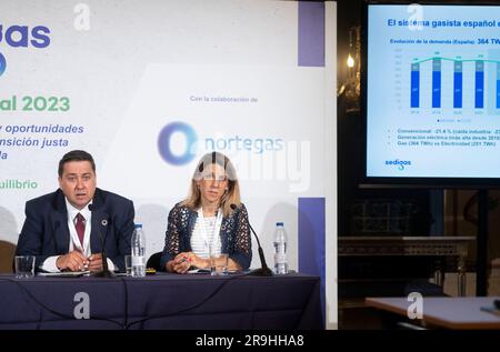 sedig-s-president-joan-batalla-during-a-press-conference-following
