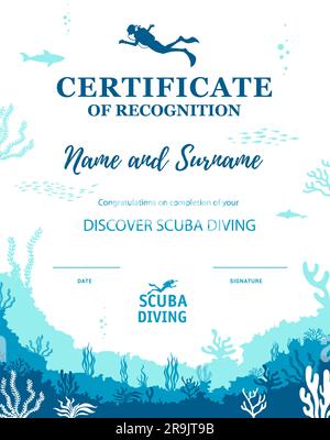 Certificate. The layout of the certificate of recognition of education ...