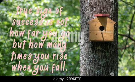 True sign of success is not how far you go but how many times you rise ...