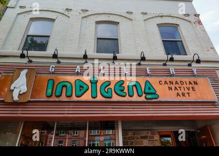 Gallery indigena is a local shop selling native art work in Stratford ...