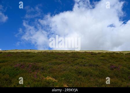 Glendevon hillside Perthshire Stock Photo - Alamy