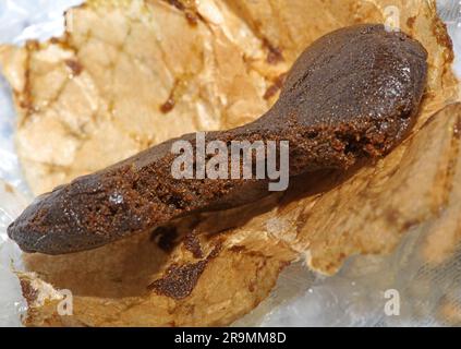 medical marijuana nepalese charas cannabis resin hashish closeup on ...