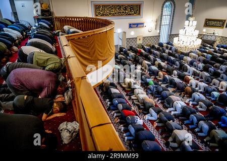 ROTTERDAM - Muslims during morning prayer in the Mevlana Mosque. The ...
