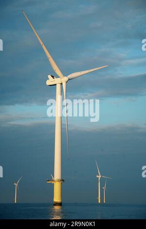 Rampion Windfarm East Sussex England UK Stock Photo - Alamy