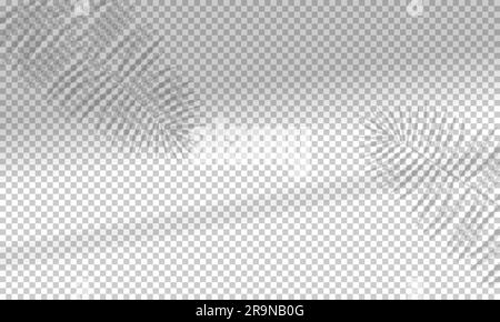 Vector illustration with shadow overlays on transparent background. Window frame shadows for ...