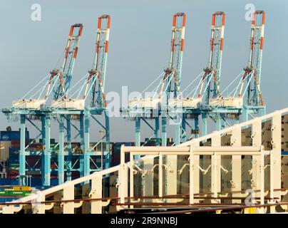 The Port of Zeebrugge is a large container, bulk cargo, new vehicles ...