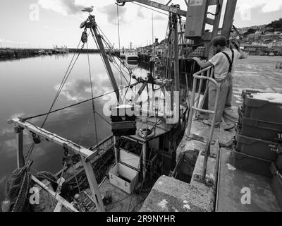 NEWLYN HARBOUR FISH MARKET BRINGING HOME THE CATCH Stock Photo - Alamy