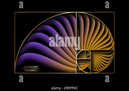 Colorful vector illustration of Fibonacci spiral. Golden ratio Stock ...