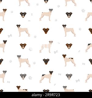 Chilean Terrier clipart. Different poses, coat colors set. Vector ...