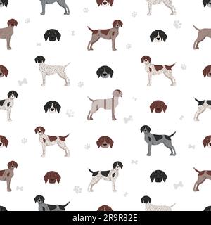 German shorthaired pointer clipart. Different poses, coat colors set ...