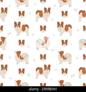 Papillon seamless pattern. Different poses, coat colors set. Vector ...