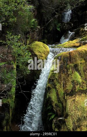 Garve, Ardessie Falls, Scotland, Highland, Great Britain Stock Photo ...