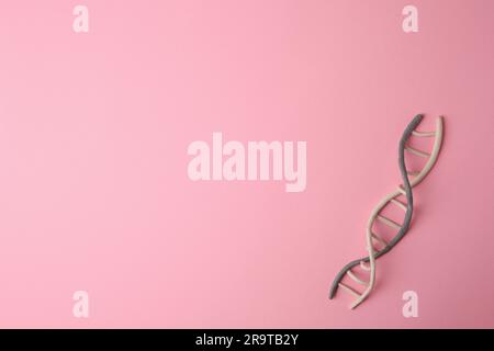 Plasticine model of DNA molecular chain on green background, top view ...