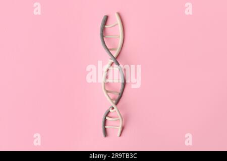 Plasticine model of DNA molecular chain on violet background, top view ...