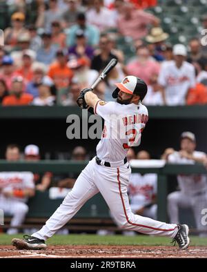 Baltimore Orioles catcher Anthony Bemboom makes a play against the New ...