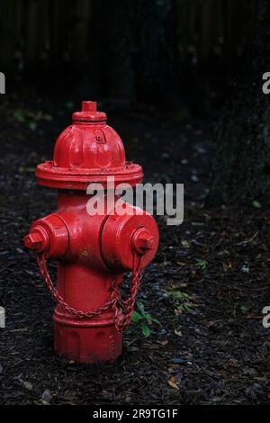 Red fire hydrants used by firemen shackled together Stock Photo - Alamy