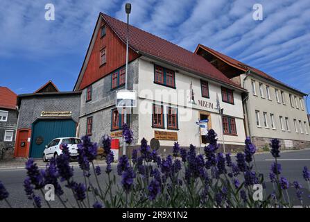Geratal, Germany. 29th June, 2023. Signs reading "Greetings from ...