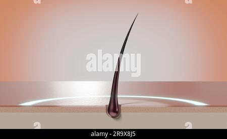 Single hair follicle and round glow - regeneration concept - 3D ...