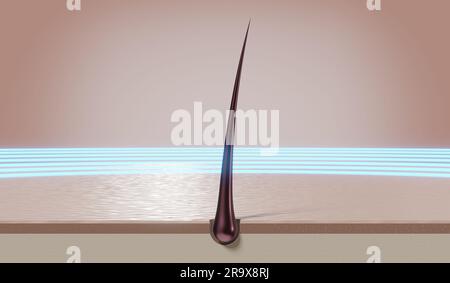 Single hair follicle and glow - regeneration concept - 3D illustration ...