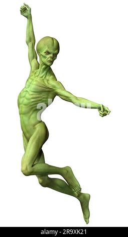 3D rendering of a female figure with muscle maps isolated on white ...