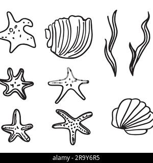 Seashell sketch. Sea animals set. Starfish, mussel, ocean shell. Marine ...