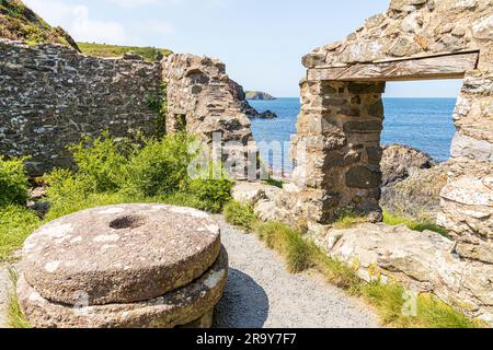 The ruins of Melin Trefin Mill in the village of Trefin in South West ...