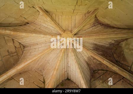 Rib vault in the Dungeon of Septmonts in Aisne, Picardie, France ...