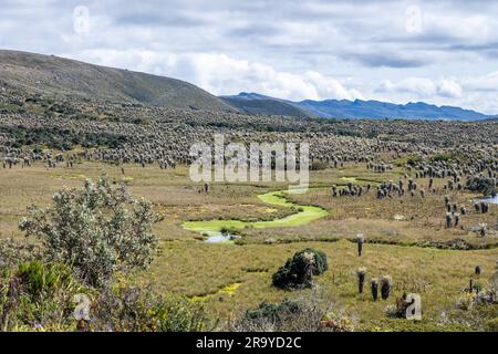 High elevation paramo landscape and eco-system of Andes Mountains ...