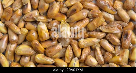 Cancha Peruvian Toasted Corn Nuts Stock Photo - Alamy