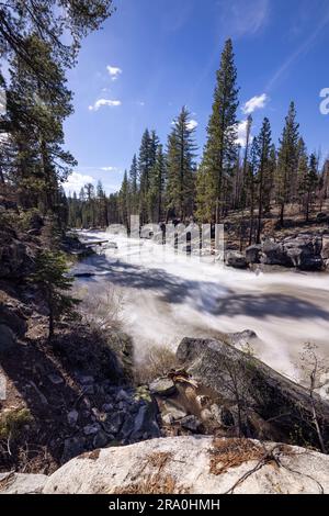 A raging river with rocks and trees on the side Stock Photo - Alamy