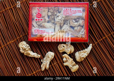 Angelica (Angelica sinensis), dried roots, Dong Quai, medicinal ...